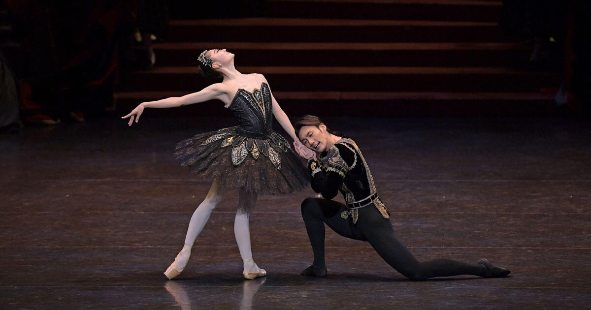 Educational Programme-First Steps: Swan Lake | Ballet & Dance | NEW ...