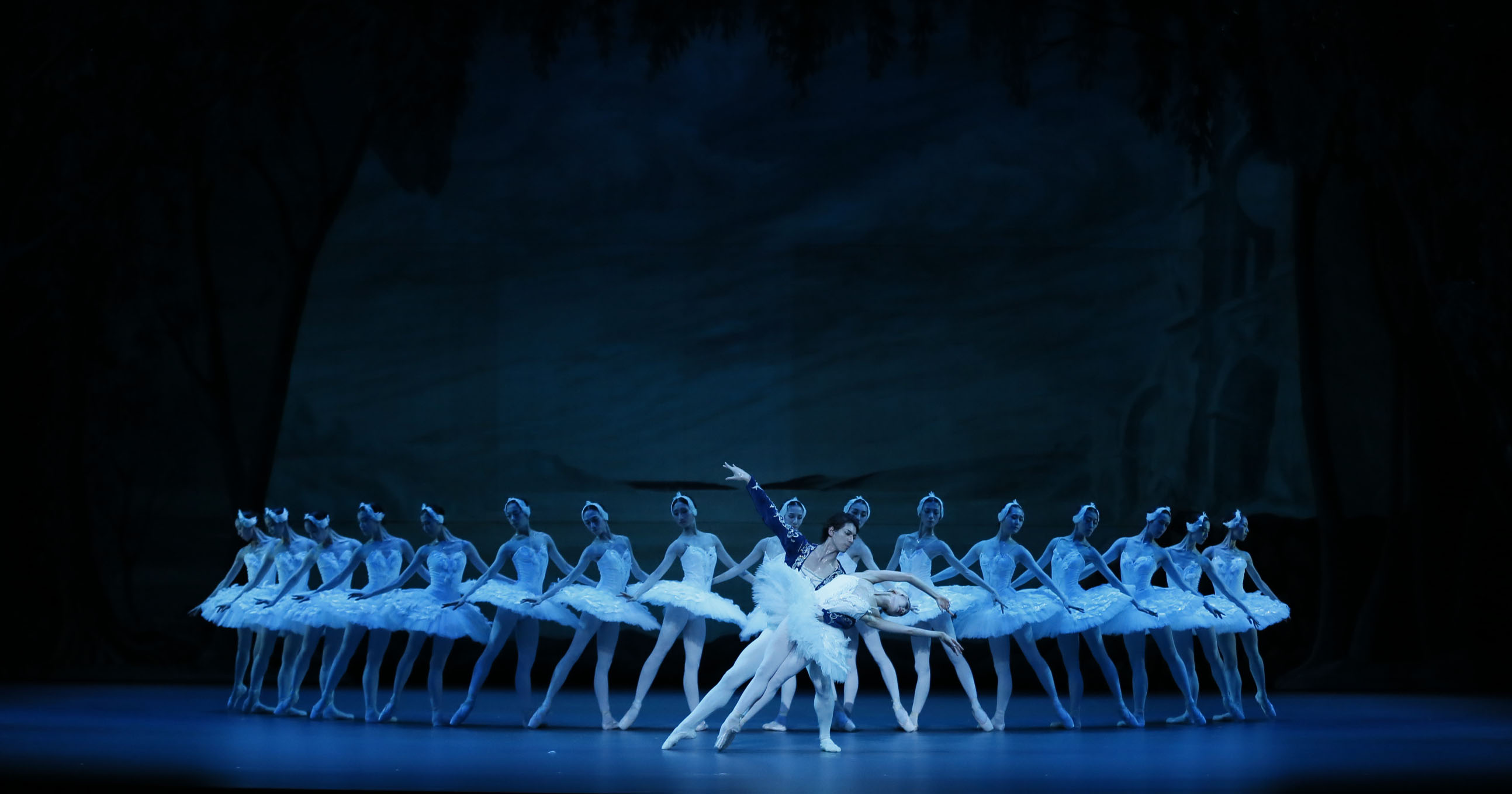 Ballet for Children Swan Lake | Ballet | NEW NATIONAL THEATRE, TOKYO